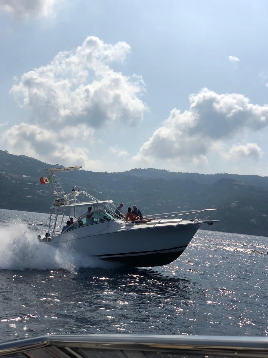 Reach your destination with maximum comfort - Alca Excursions Fleet