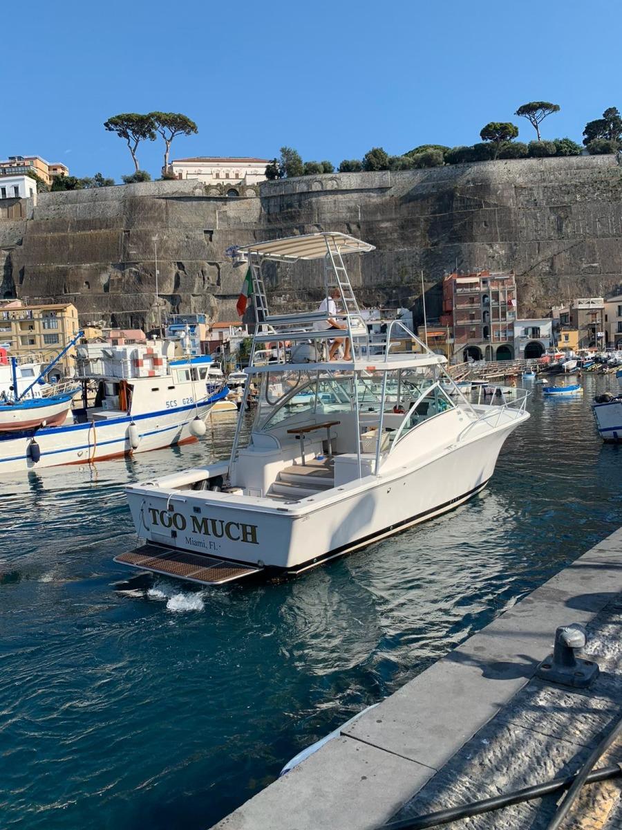 Reach your destination with maximum comfort - Alca Excursions Fleet